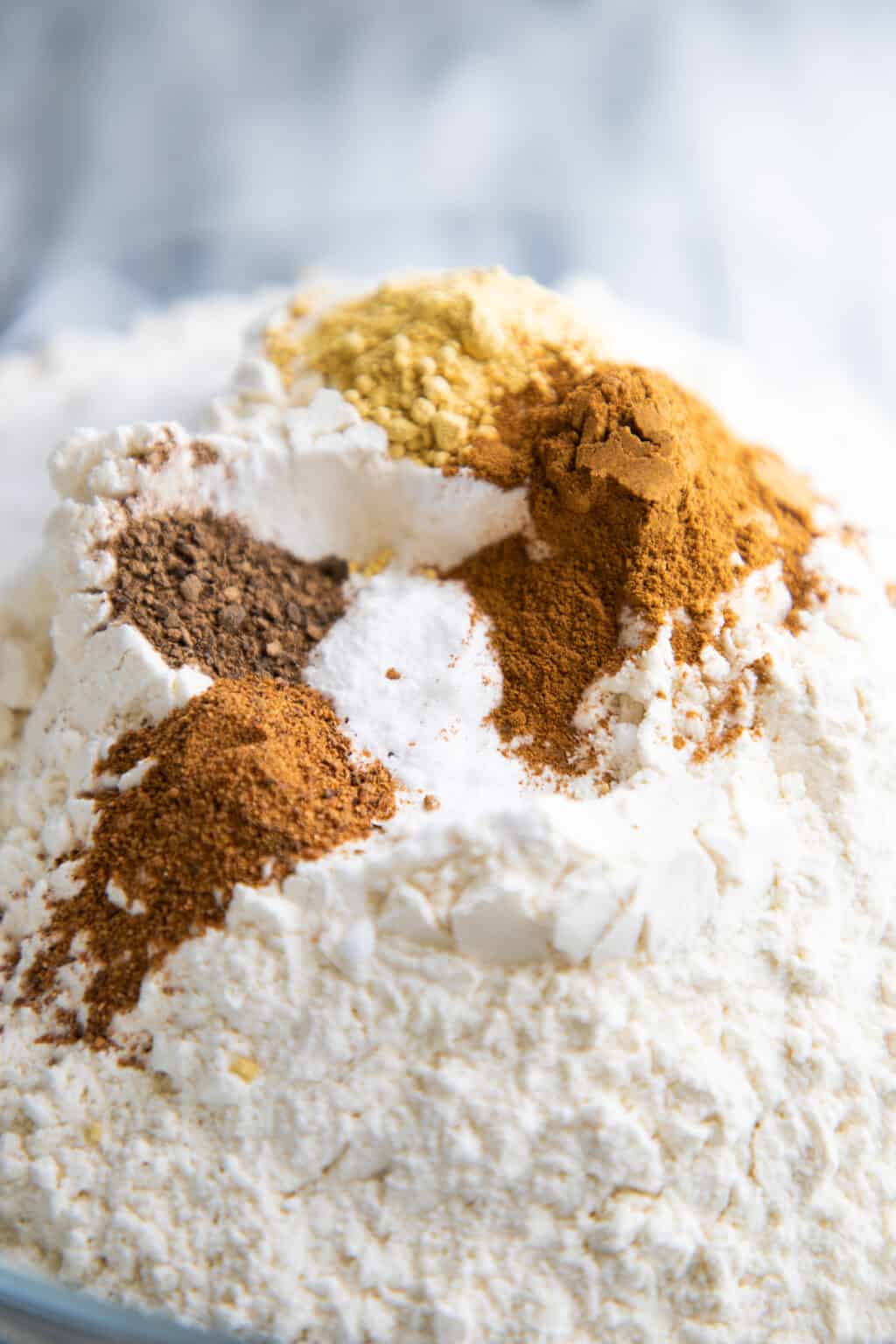 Spiced Ginger Crinkle Cookies | Erren's Kitchen