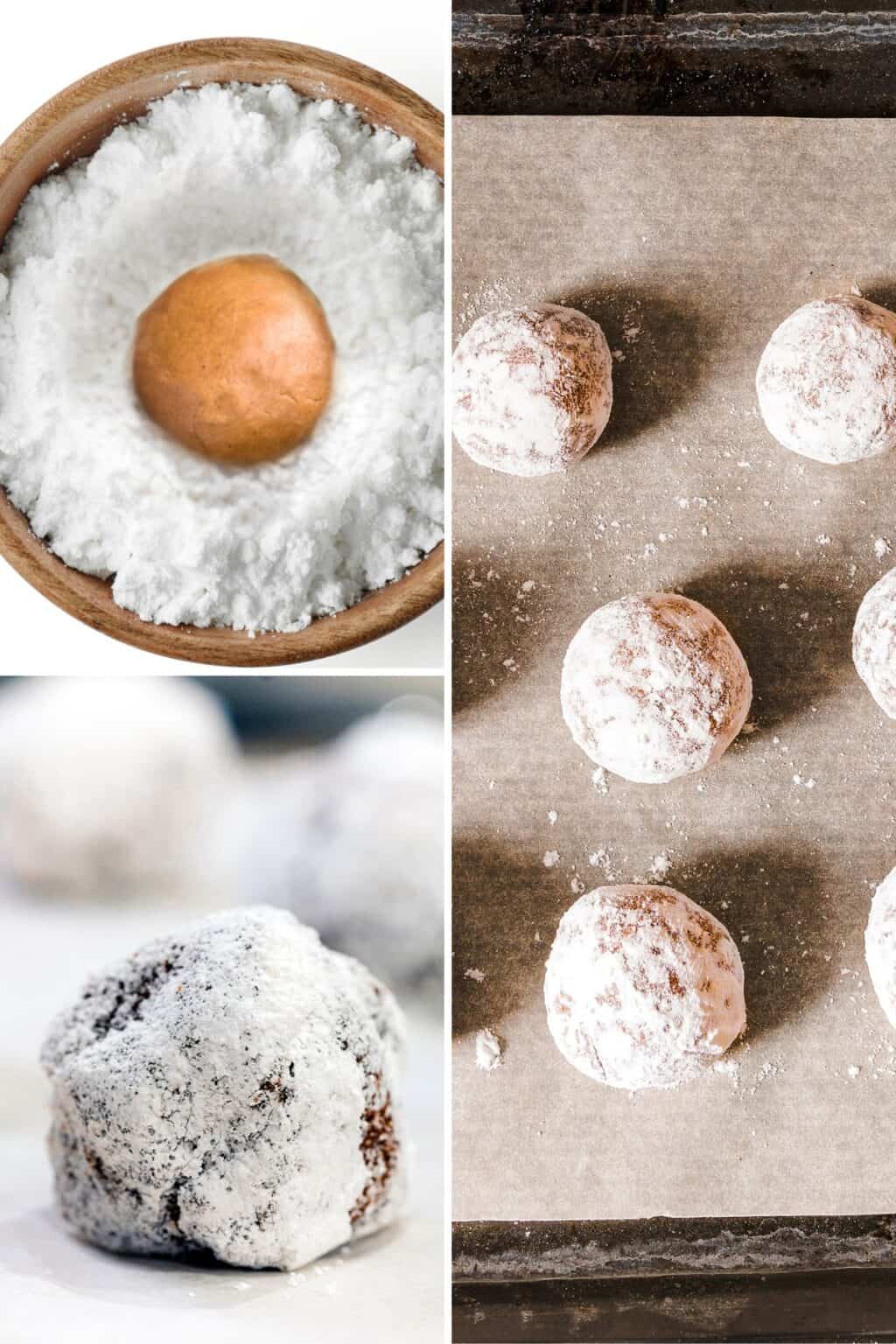 Spiced Ginger Crinkle Cookies | Erren's Kitchen