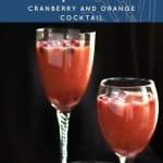 Spiced Cranberry & Orange Cocktail | Erren's Kitchen