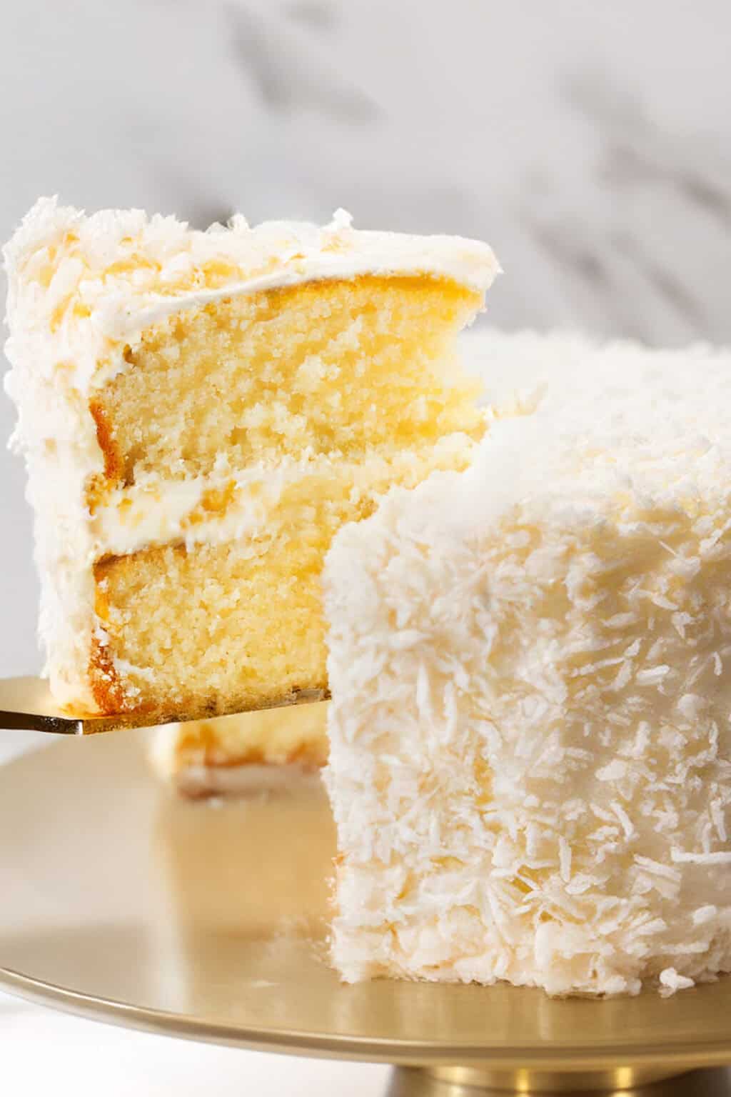 Coconut Lovers Dream Cake with Coconut Buttercream Frosting