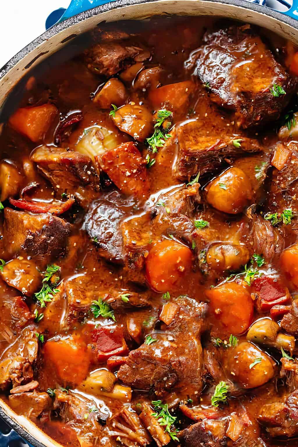 Braised Boneless Short Ribs - Erren's Kitchen