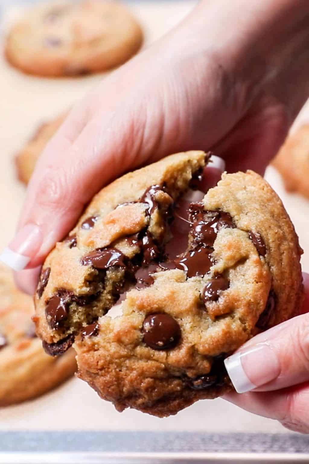 Easy Chocolate Chip Cookies