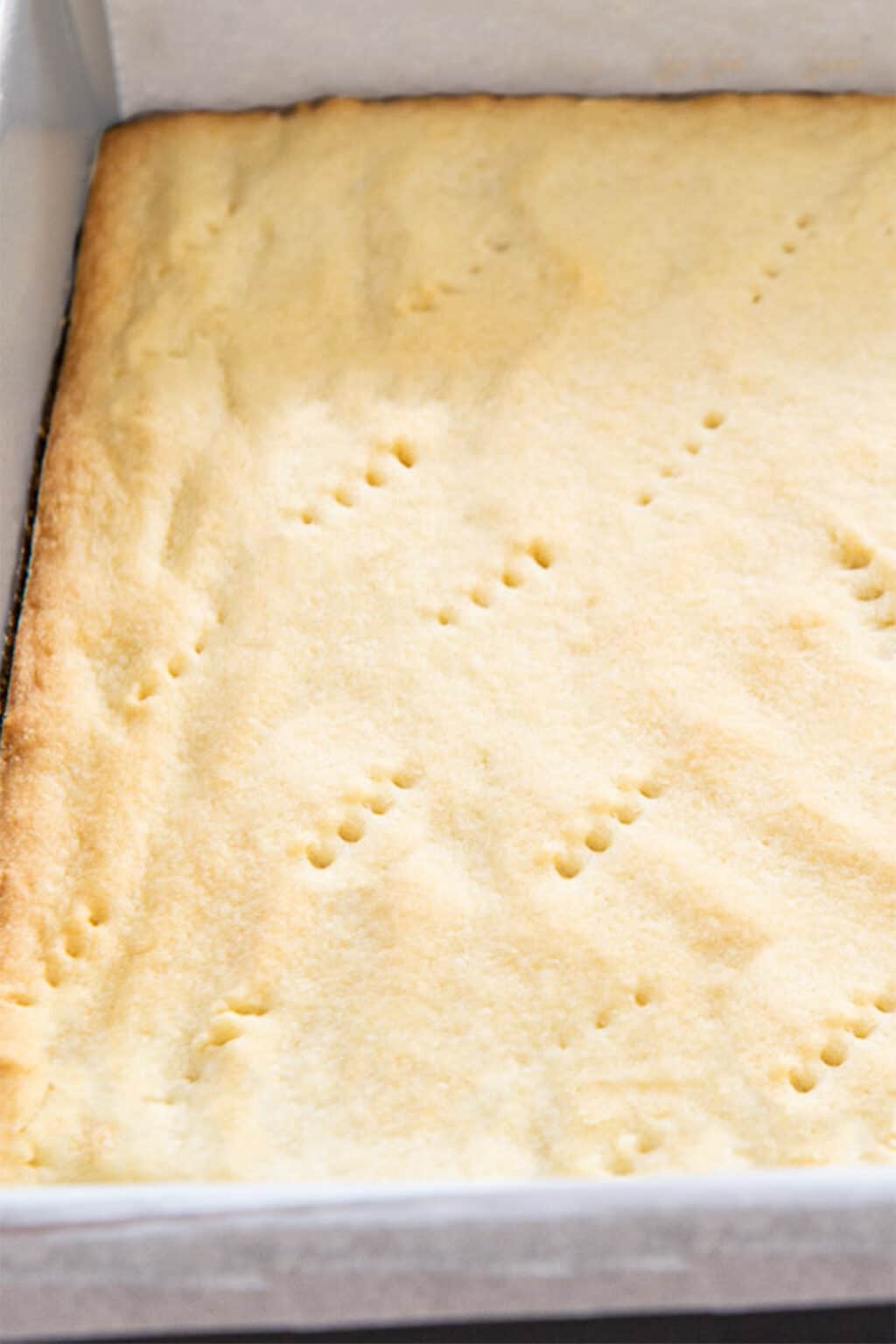 Best Lemon Squares Recipe | Erren's Kitchen