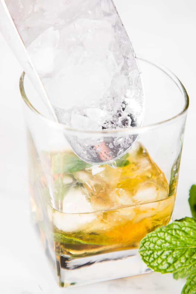 Mint Julep Cocktail