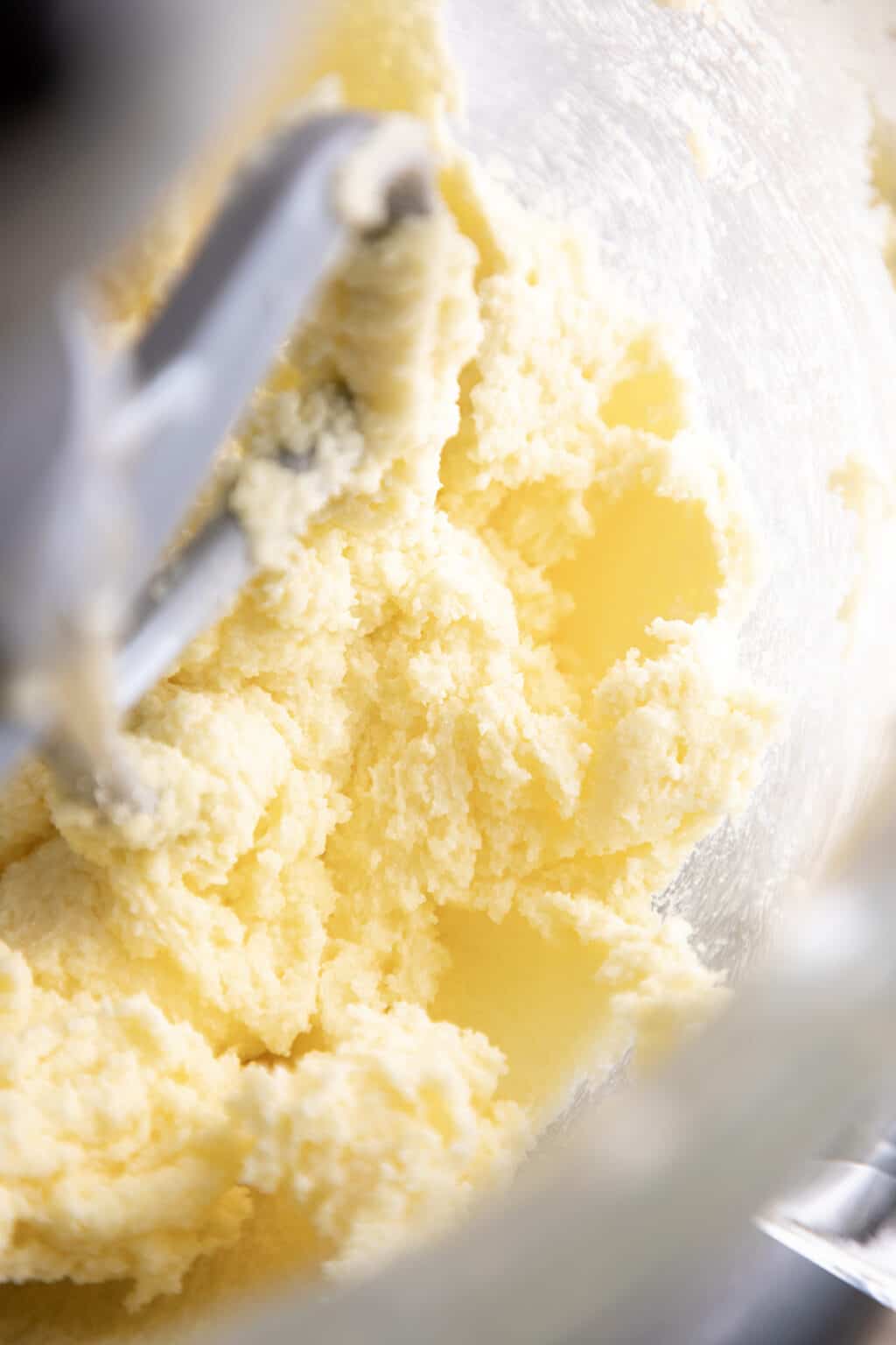 Best Ever Snickerdoodle Recipe