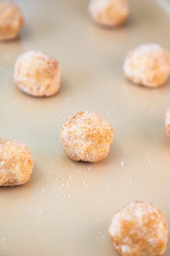 Best Ever Snickerdoodle Recipe - Erren's Kitchen