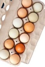A Beginner's Guide to The Science of Baking