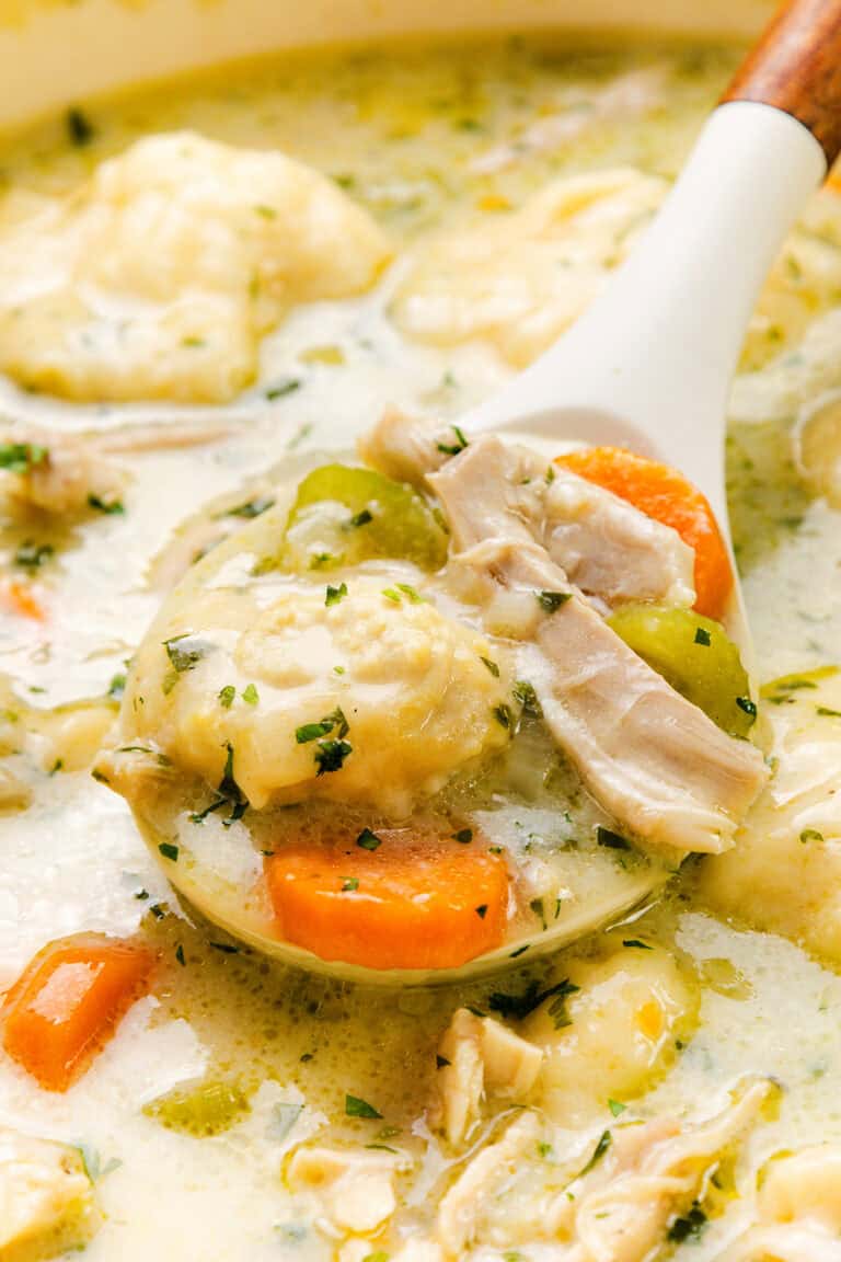 Chicken Dumpling Soup