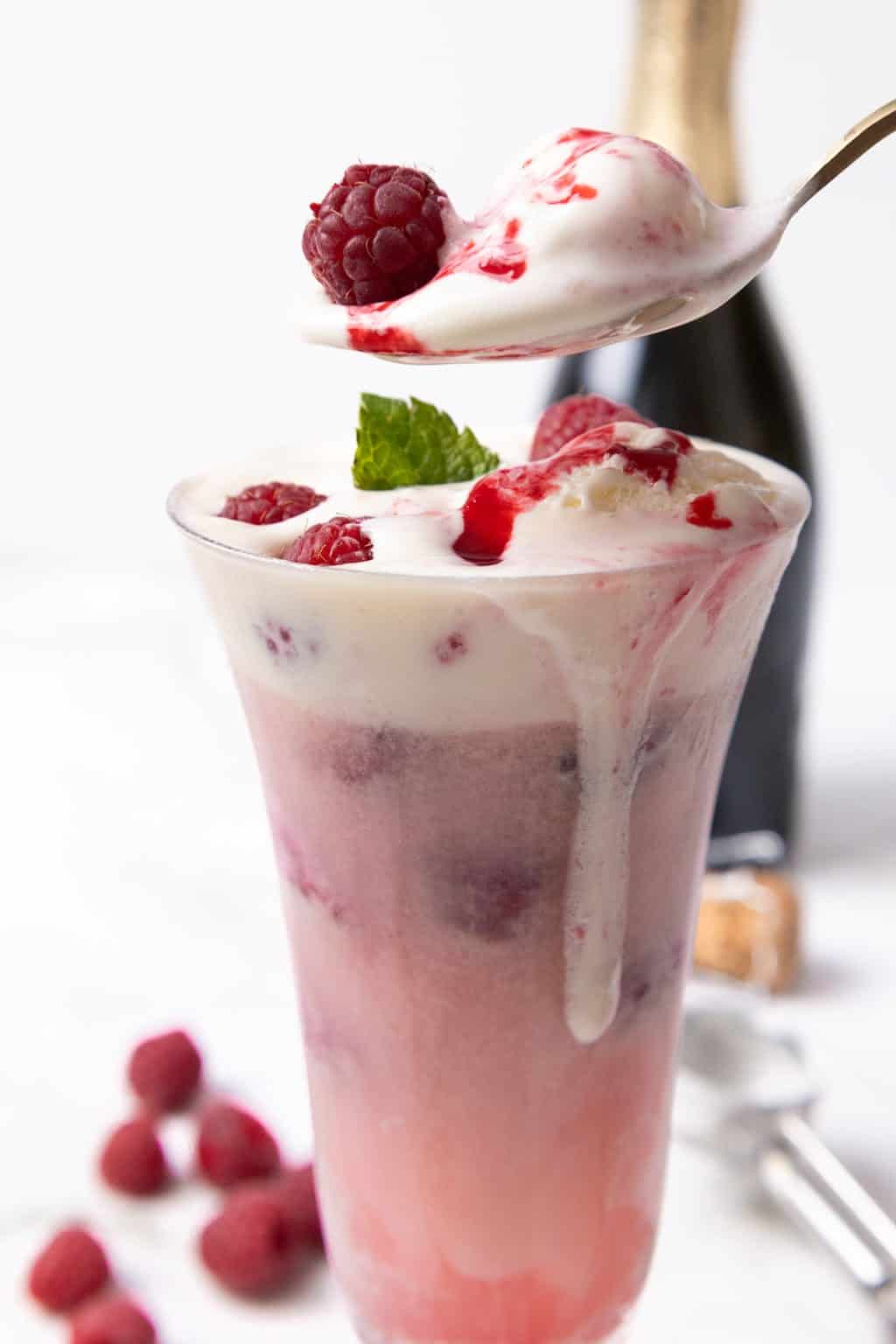 Sparkling Champagne Floats